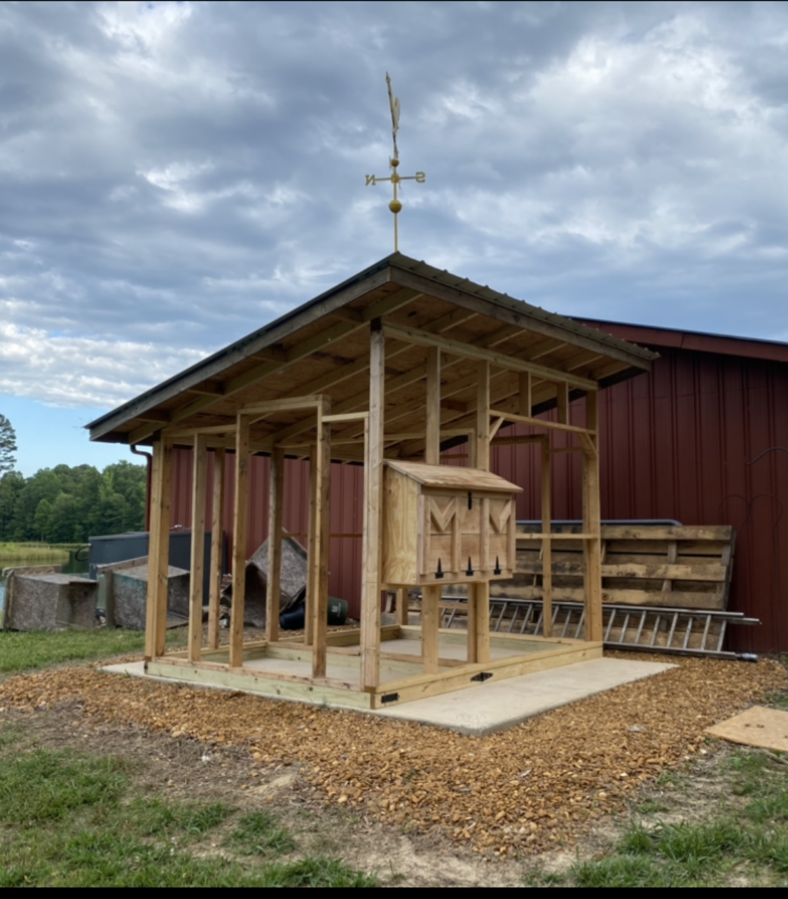 Building a Chicken Coop from Trees - Backyard Poultry